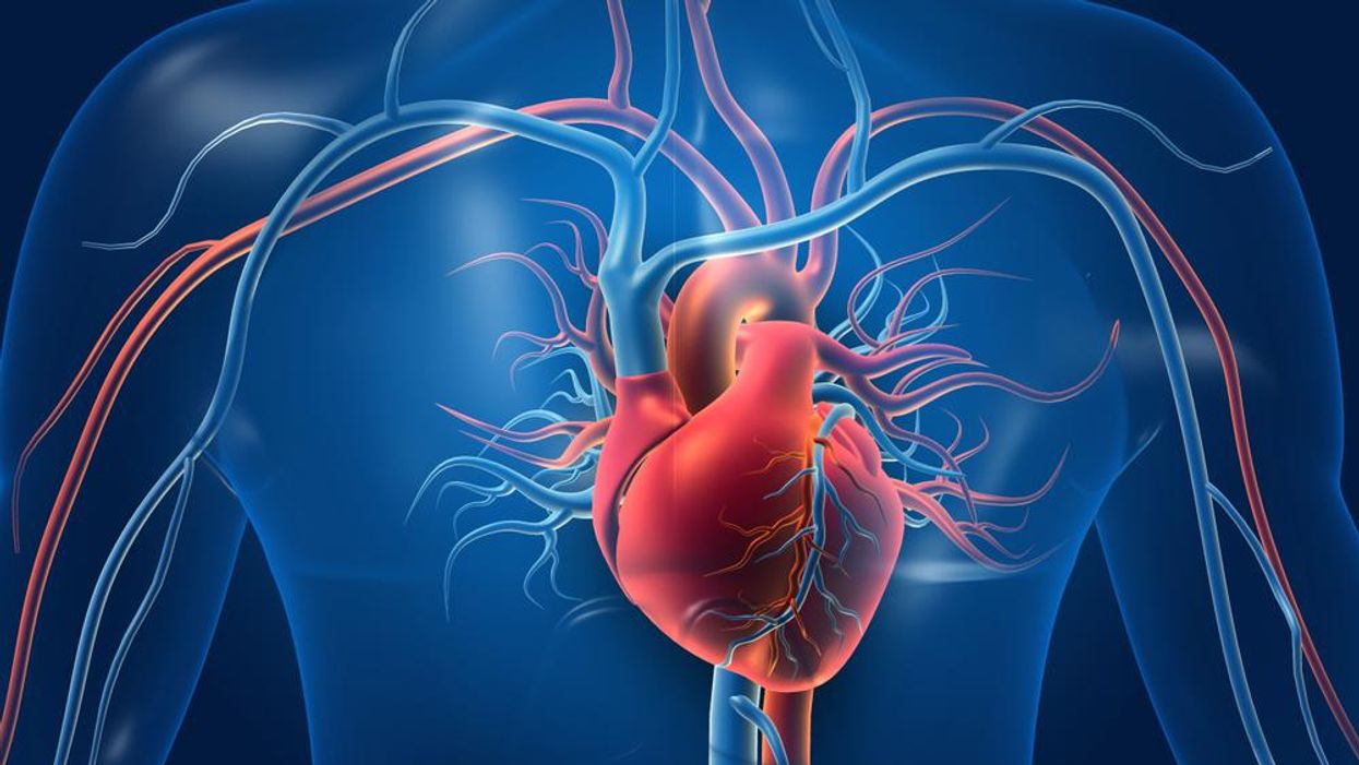 What is Coronary Heart Disease? – PB Cardiovascular